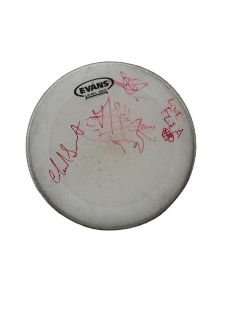 Testata Della Batteria Firmata Red Hot Chili Peppers Charitystars