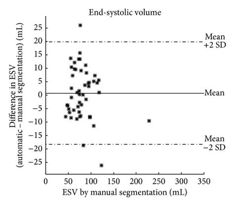 bias between automatic segmentation and manual delineation in the test