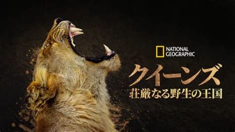 『Protecting Paradise: The Story of Niue』を視聴 | Disney+(ディズニープラス)