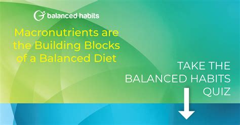 Discover My Macros Balanced Habits