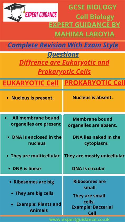 Difference Between Eukaryotic And Prokaryotic Cells Cell Biology Complete Revision With Exam