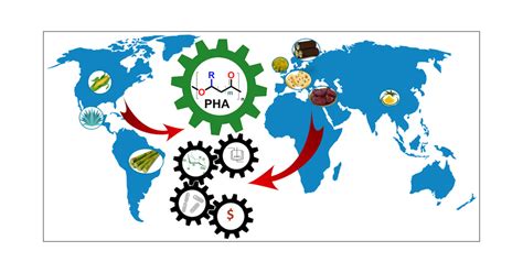 Polyhydroxyalkanoates Production A Challenge For The Plastic Industry