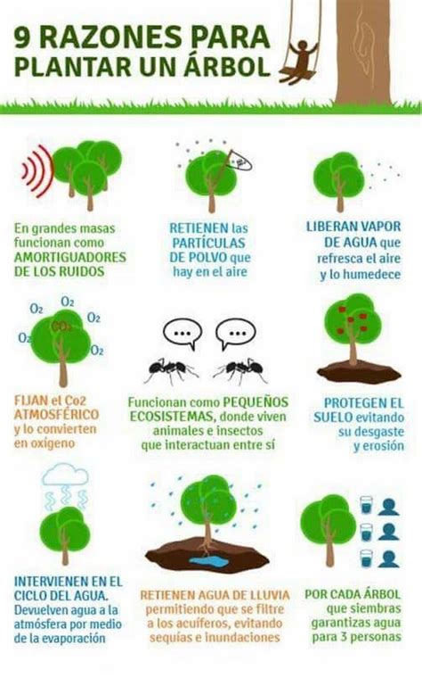 Sign In Salud Y Medio Ambiente Arboles Planta Conservacion Del Ambiente