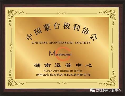 无混龄不蒙氏蒙台梭利告诉你混龄教学原来有这么多好处