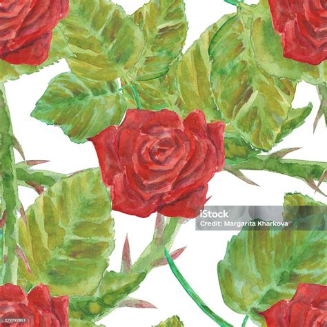 완벽 한 수채화 패턴 빨간 장미 손 그려 흰색 배경에 고립되어 있습니다 봄 꽃 새싹 및 잎 손으로 그린 배경입니다 벽지 또는 직물에 대한 꽃 패턴 꽃 복고풍 장미