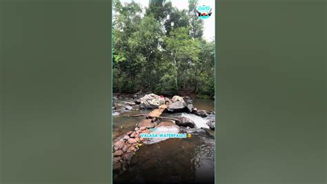 Dumpa Valasa Waterfalls A Natural Wonder Near Rajahmundry Youtube