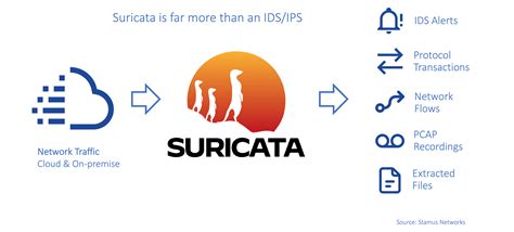 The Other Side Of Suricata