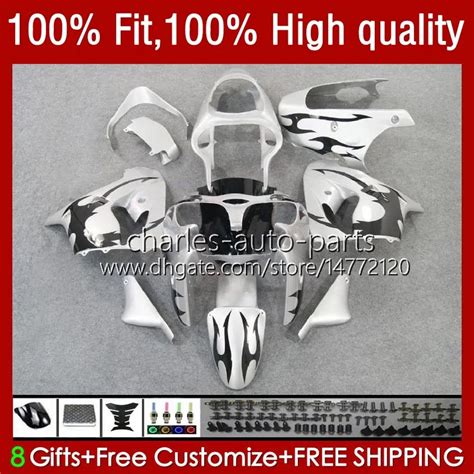 Silver And Black Oem Injection Molded Body Kit Fiat Punto For Kawasaki