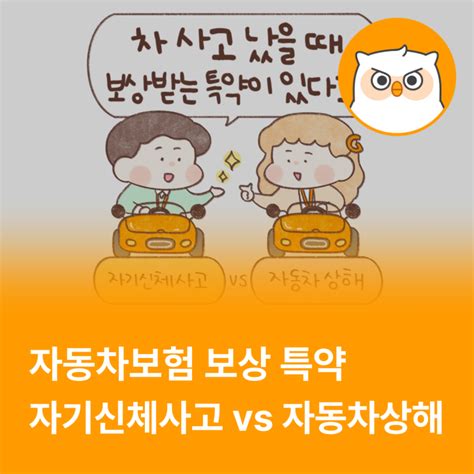 보미의일기 차 사고 났을 때 보상 받는 특약이 있다고 자기신체사고자손 Vs 자동차상해자상