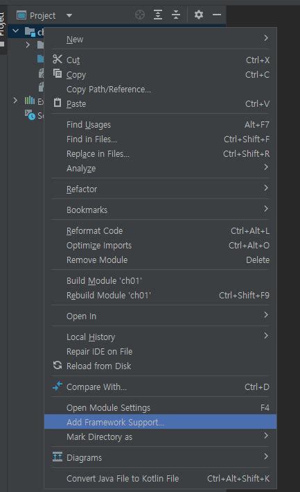 [인텔리제이] add framework support 안보일때 mac