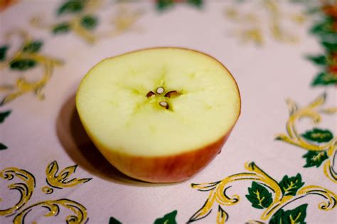 Apple Cut In Half Horizontally