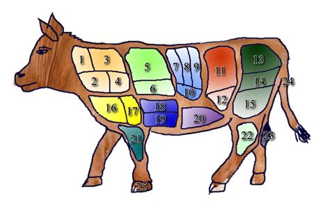 Partes Del Carne Recetas Mexicanas