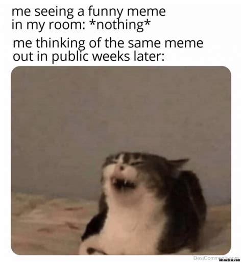 Laughing Cat Meme Desi Comments