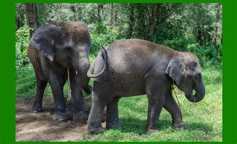 How To Design Trillcode Barcode Label