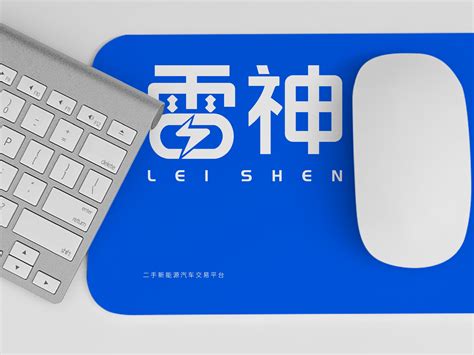 二手新能源汽车交易平台logo设计飞地设计 站酷zcool