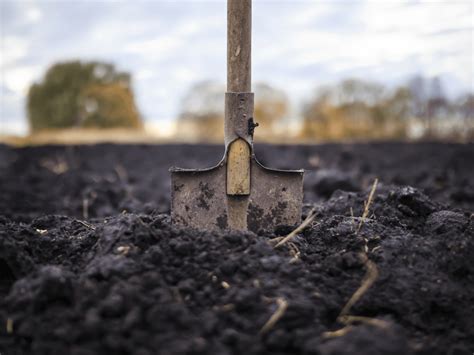 Microgen Biotech Raises €347m To Reduce Heavy Metals In Soil