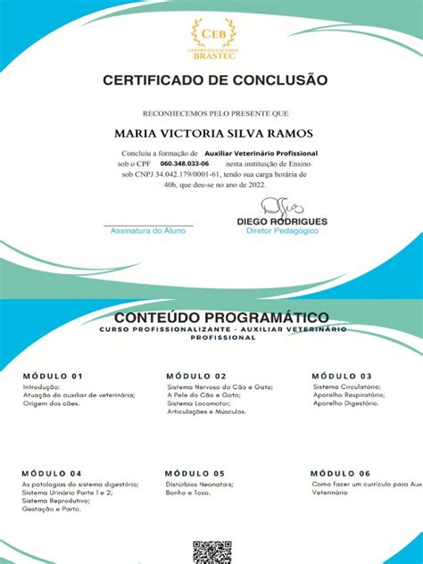 Certificado De Conclusão Do Ensino Médio Pdf