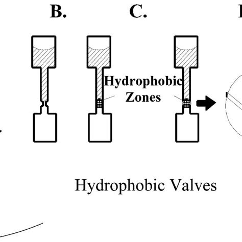 Schematic Illustrations For The Description Of Cd Microfluidics A Download Scientific