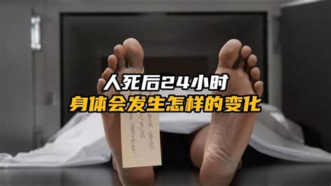人死后24小时，身体到底会发生怎样的变化 科普 人体 让脑洞飞一会 Youtube
