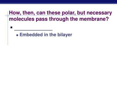 Ppt The Cell Membrane Ap Biology Powerpoint Presentation Free