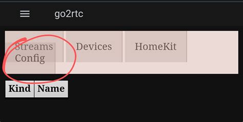 Incorrect Button Display In Web GUI Issue AlexxIT Go Rtc GitHub