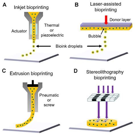 Bio Printing Innovation Essence
