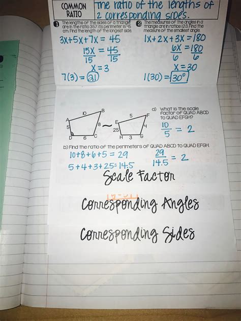 Ratio Proportions And Similar Polygons Mrs Newells Math