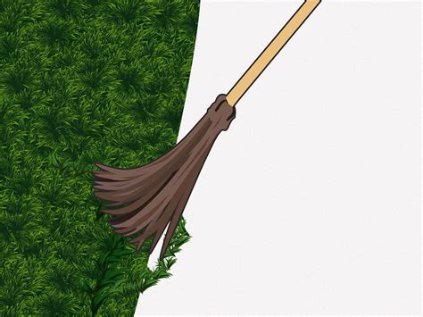 How To Edge A Lawn Without An Edger 11 Steps With Pictures