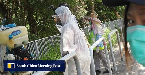 Hong Kong Health Authorities To Map Out Anti Mosquito Measures Following Fears That Woman May