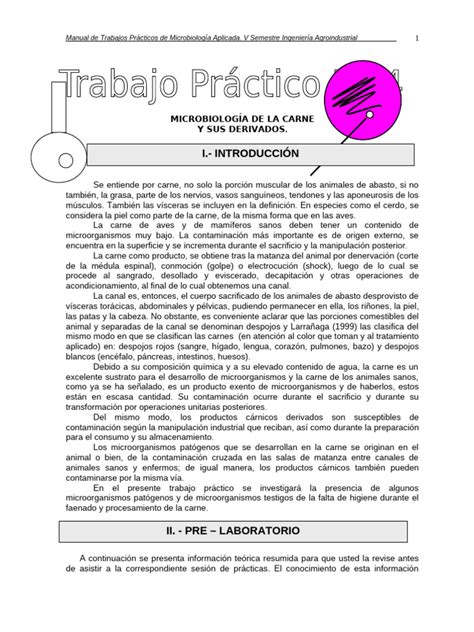 Practica 4 Carnicos Pdf Carne Menudencias