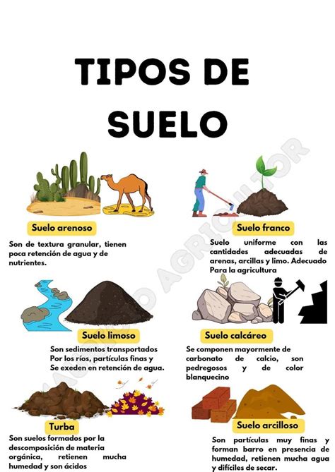 Best 12 Ciencias Diferentes Tipos De Suelo Worksheet Artofit