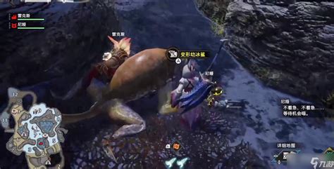 《怪物猎人崛起曙光》柔软的厚皮怎么得 柔软的厚皮获取攻略 怪物猎人崛起曙光 九游手机游戏
