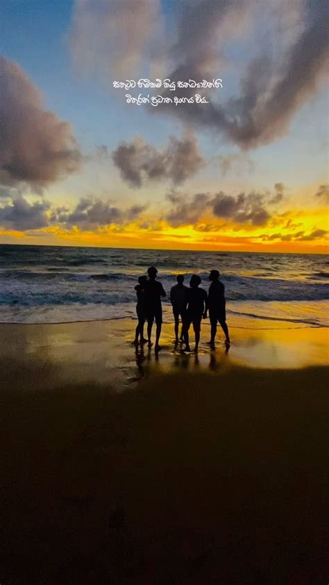 Vijan Senuja Mr Senuja • Instagram Photos And Videos
