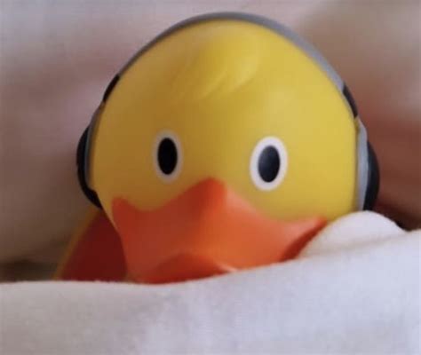 Quackity Duck In 2022 Rubber Duck Duck Rubber