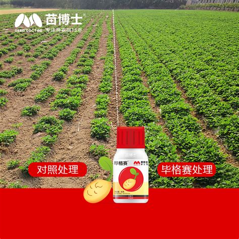 毕格赛花生 广州苗博士生物技术有限公司