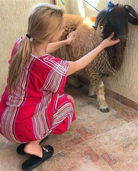 「djelaba Femme」おしゃれまとめの人気アイデア｜pinterest｜ismet