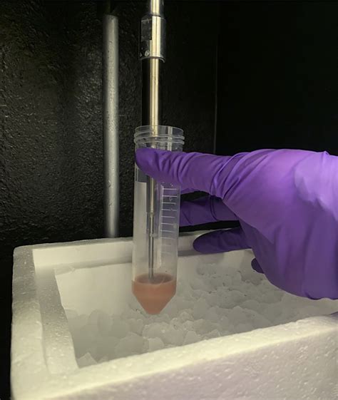 Cell Press Star Protocols