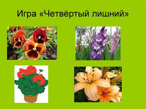 Игра «Четвёртый лишний презентация онлайн