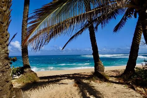 Explore The North Shore Oahu Airport Rides And More Your Ultimate