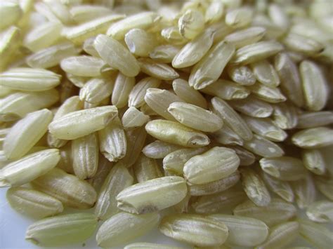糙粳米 穀物類 ahealth健康網