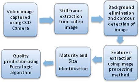 Flowchart Of Sorting And Grading Process Download Scientific Diagram