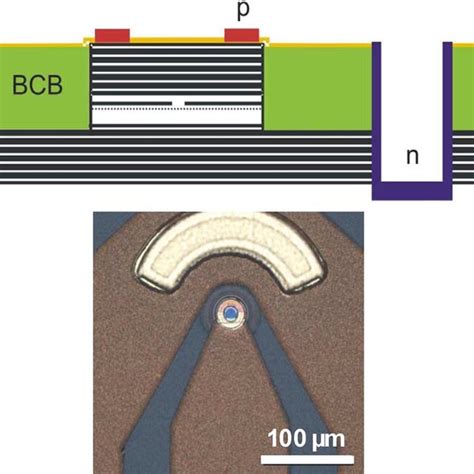Device Layout Of The Sml Qd Vcsel Download Scientific Diagram