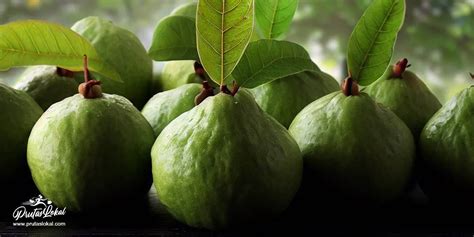 Baguio Beans: Ang Mga Nakakabilib na Health Benefits. Alamin!