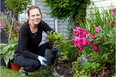 4 Common Mistakes When Growing Azaleas