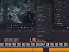 Resolving Rendering Issues In DaVinci Resolve Mirko Fabian