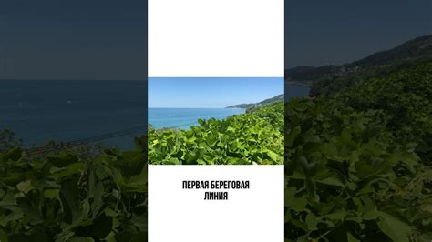 ЗАКРЫТЫЕ ПРОДАЖИ ВСЕГО 100 лотов Потенциал роста 500тыс м2 сочи