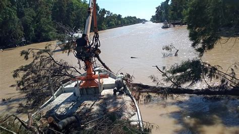 Se Realizaron Trabajos De Mantenimiento Y Destronque En El Delta De