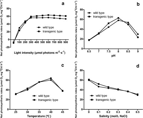 Photosynthetic Responses In The Wild Type And Vp28 Egfp Mutant Strains Download Scientific
