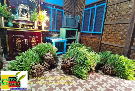 အောင်သပြေဘုရားပန်းငုတ် အောင်သပြေဘုရားပန်းငုတ် ကျောက်ဆည်