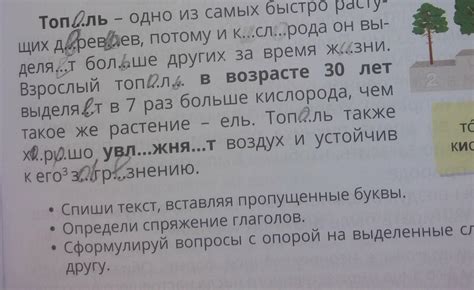 Рассмотри рисунки и предположи какой текст может иллюстрировать каждый